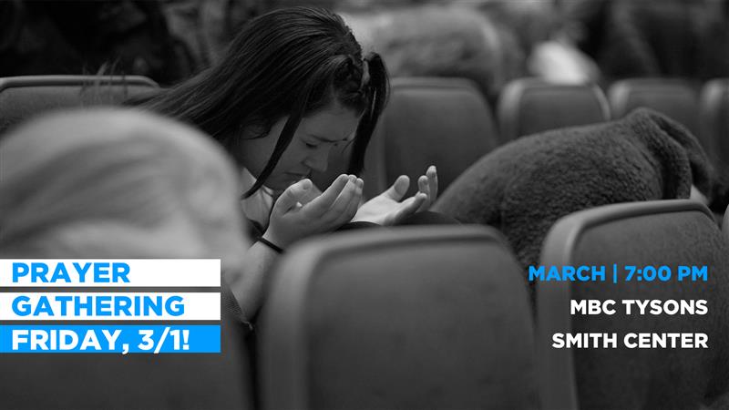 This Week - McLean Bible Church | McLean Bible Church